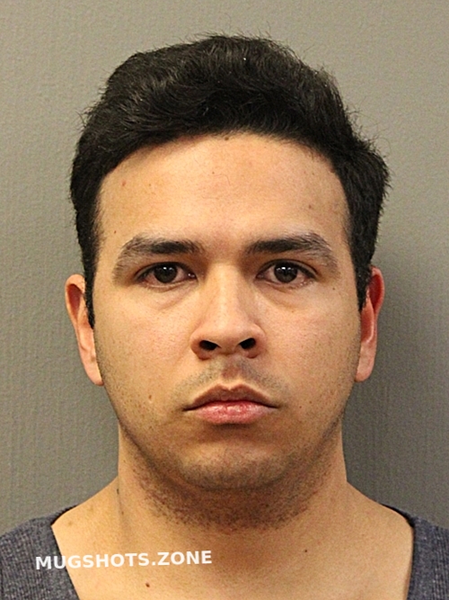 RONNY R GODOY SOTO 03/14/2025 - Chicago Mugshots Zone