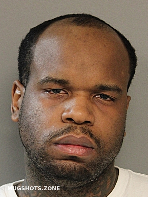 ALEC L PATTERSON 03/14/2025 - Chicago Mugshots Zone