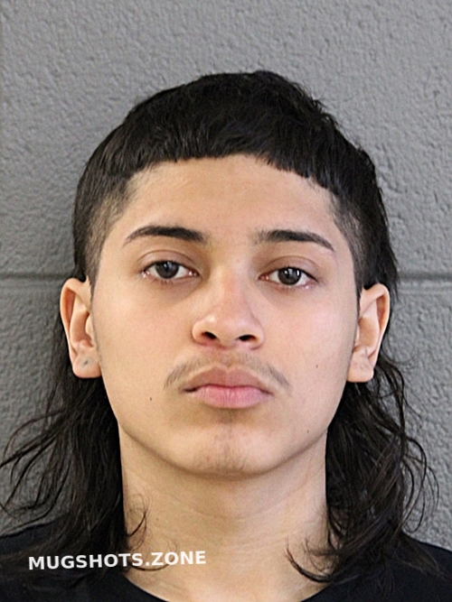 MIGUEL A GUIZAR 03/14/2025 - Chicago Mugshots Zone