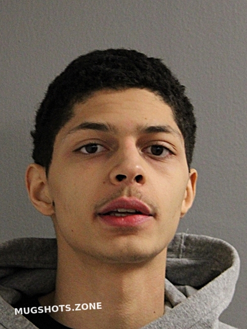 MICHAEL SPINKS 03/14/2025 - Chicago Mugshots Zone