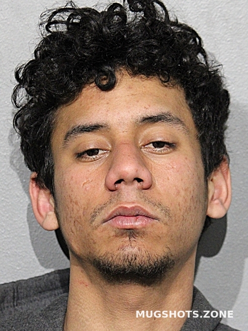 GABRIEL A SERNA 03/14/2025 - Chicago Mugshots Zone