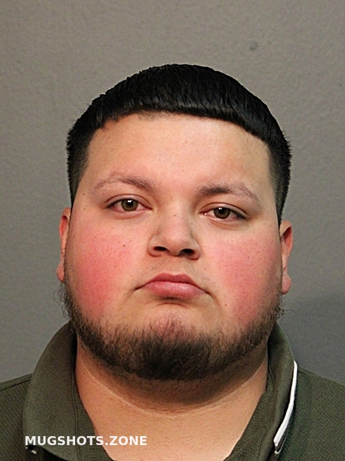 ALEXIS CEBALLOS 03/15/2025 - Chicago Mugshots Zone