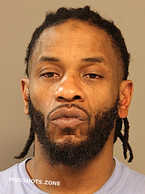 CHRISTOPHER DAVIS 03/15/2025 - Chicago Mugshots Zone