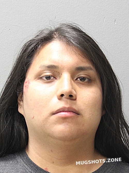 ALEXIS O REYES 03/16/2025 - Chicago Mugshots Zone
