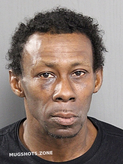 RAPHAEL BARNES 03/16/2025 - Chicago Mugshots Zone