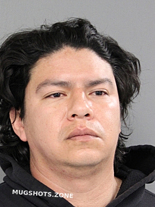 LEE JIMENEZ 03/17/2025 - Chicago Mugshots Zone