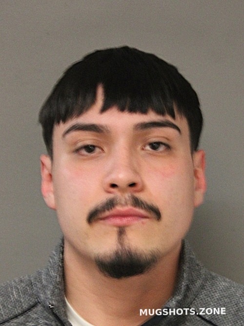 ANDY R SOTO 03/17/2025 - Chicago Mugshots Zone