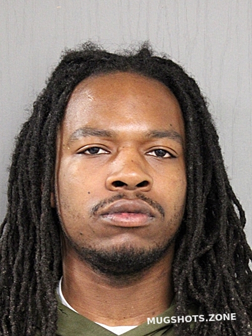THOMAS M BROWN 03/18/2025 - Chicago Mugshots Zone