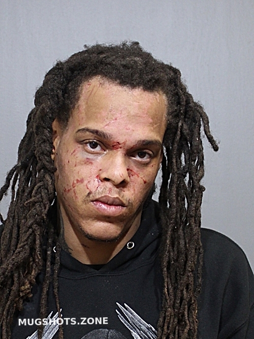 WAYNE M SYKES 03/19/2025 - Chicago Mugshots Zone