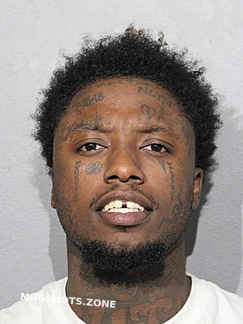 RONNELL S JOHNSON 03/19/2025 - Chicago Mugshots Zone