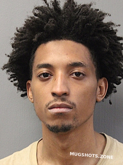 DPRYNCE R ISLAND 03/20/2025 - Chicago Mugshots Zone