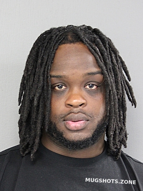 KRISTIN L BROWN 03/20/2025 - Chicago Mugshots Zone