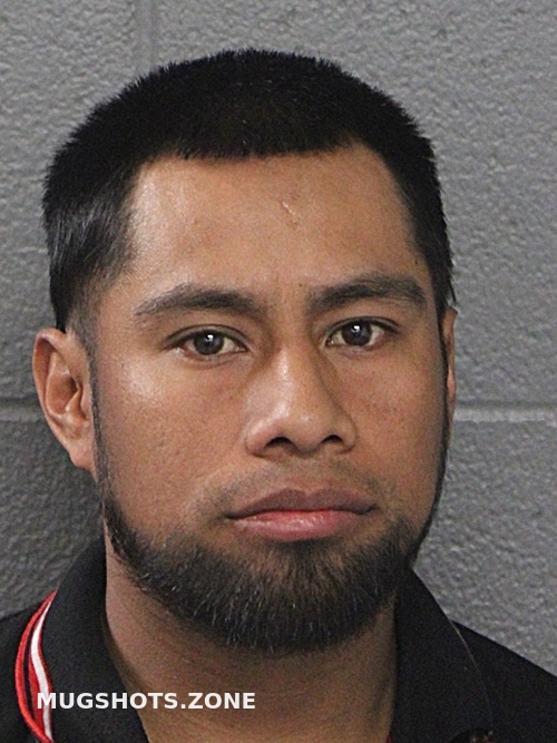 NELSON F DE LEON MEJIA 03/20/2025 - Chicago Mugshots Zone