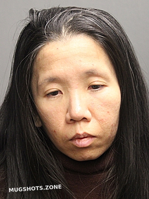 LIZ HO 03/20/2025 - Chicago Mugshots Zone