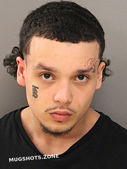 MICHAEL ALVAREZ 03/21/2025 - Chicago Mugshots Zone