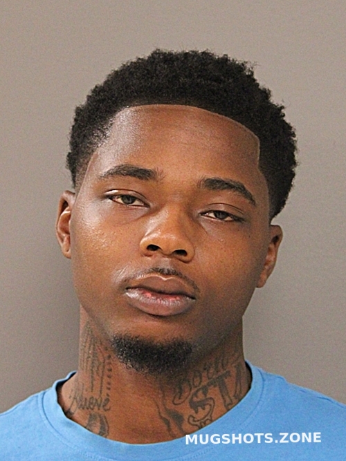 DARNELL L WILLIAMS 03/21/2025 - Chicago Mugshots Zone