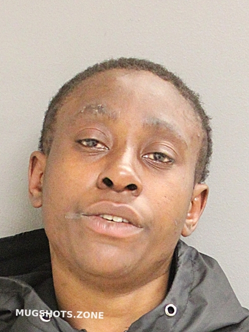 DESTINY T EVANS 03/21/2025 - Chicago Mugshots Zone