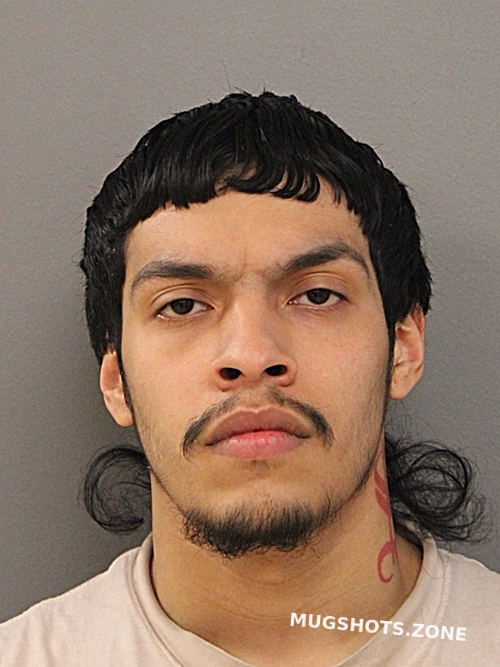 MATTHEW BARRAZA 03/21/2025 - Chicago Mugshots Zone