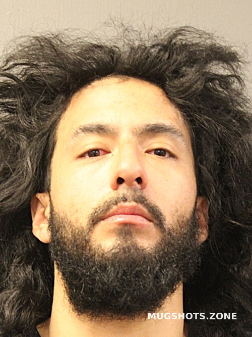 ALEX MARCANO 03/22/2025 - Chicago Mugshots Zone