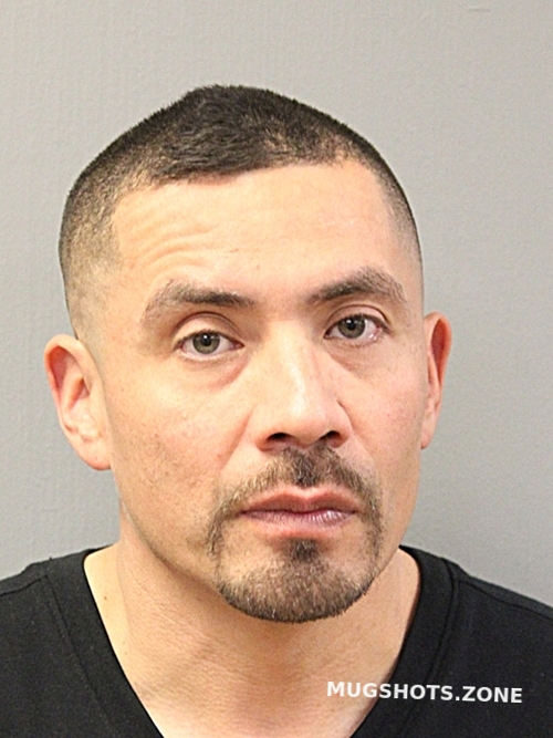 DAVID VELA 03/22/2025 - Chicago Mugshots Zone