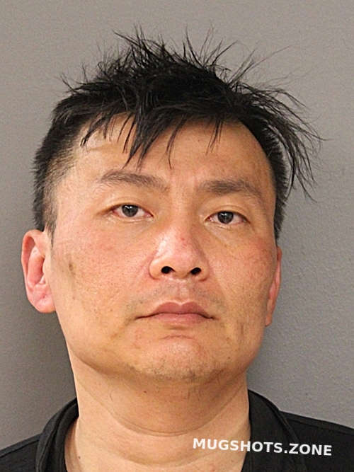 LOUIS J ZHANG 03/22/2025 - Chicago Mugshots Zone