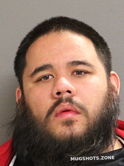 ANTHONY BOOKER 03/23/2025 - Chicago Mugshots Zone