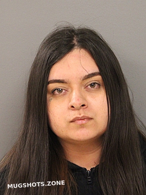 ISABEL ROSARIO RAMIREZ 03/23/2025 - Chicago Mugshots Zone