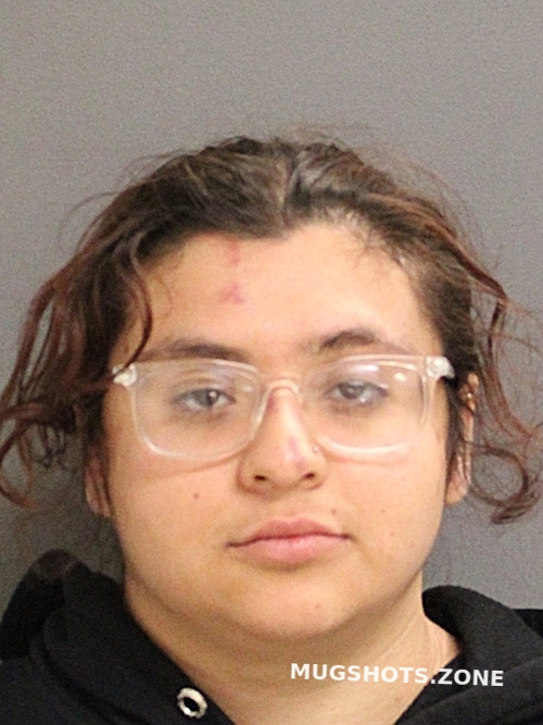 ROSA FLORES 03/23/2025 - Chicago Mugshots Zone