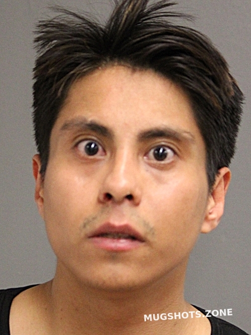 JUAN ROJAS 03/23/2025 - Chicago Mugshots Zone