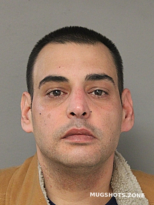 MICHAEL ELY 03/23/2025 - Chicago Mugshots Zone