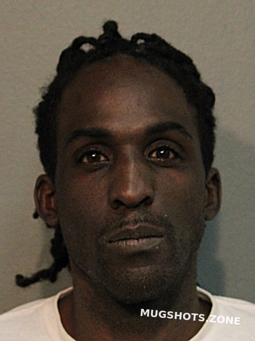 JAMES LIBERTY 03/24/2025 - Chicago Mugshots Zone