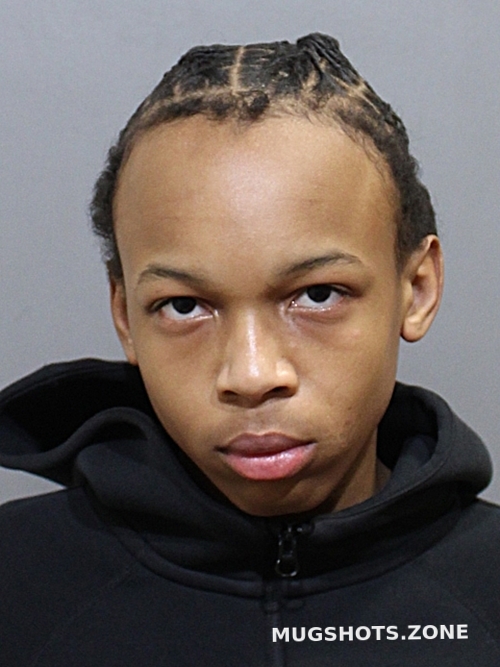 TRINITY KNIGHT WALTON 03/24/2025 - Chicago Mugshots Zone