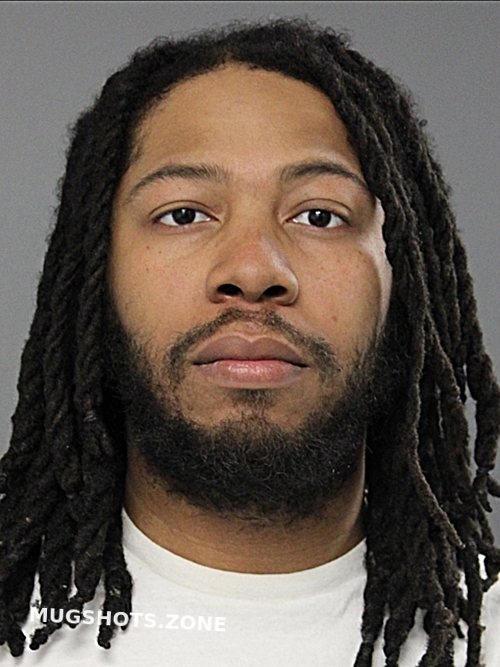 DARAE D AUSTIN 03/24/2025 - Chicago Mugshots Zone