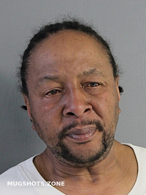 JAMES FORD 03/24/2025 - Chicago Mugshots Zone