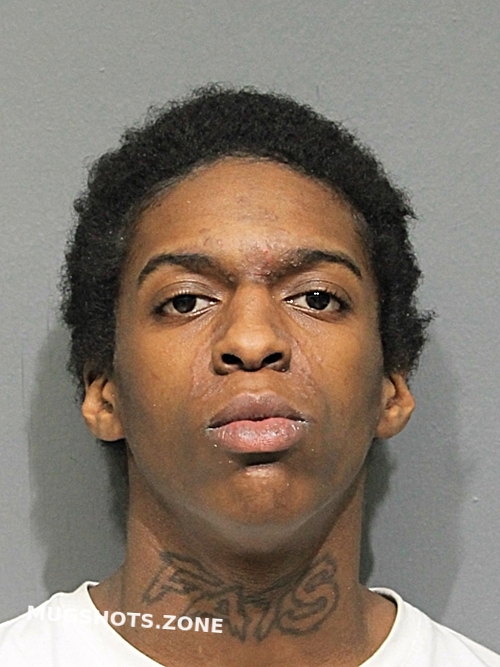 CHRISTOPHER L WILLIAMS 03/24/2025 - Chicago Mugshots Zone