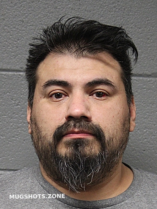 FERNANDO MARTINEZ 03/25/2025 - Chicago Mugshots Zone