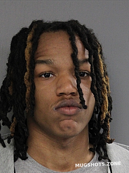 TERRANCE T THOMAS 03/25/2025 - Chicago Mugshots Zone
