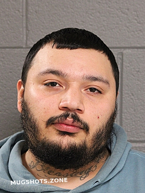 NICHOLAS ETHAN RODRIQUEZ 03/26/2025 - Chicago Mugshots Zone