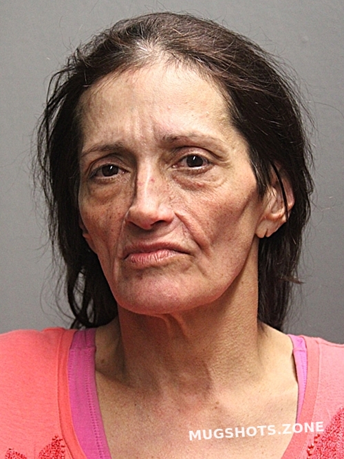 DENISE PARADES 03/26/2025 - Chicago Mugshots Zone