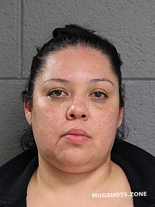 ANNA M BECKES 03/26/2025 - Chicago Mugshots Zone