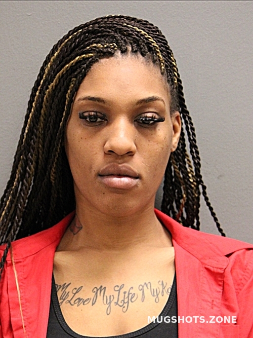 BRIANNA M LEVELS 03/26/2025 - Chicago Mugshots Zone