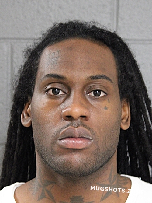 TIMOTHY J WILLIAMS 03/27/2025 - Chicago Mugshots Zone