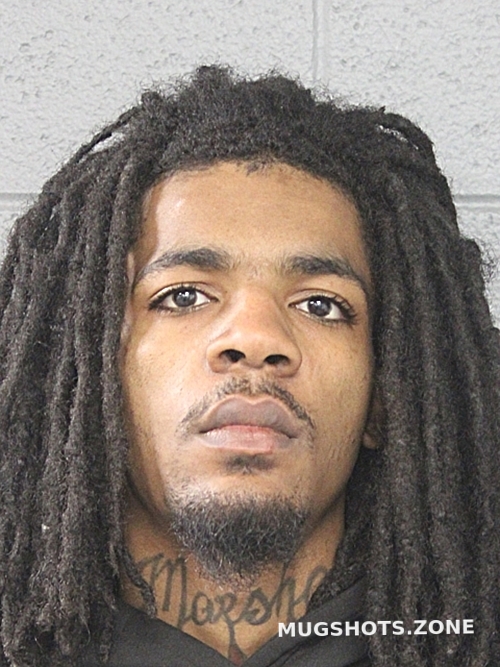 NICHOLAS GIBSON 03/27/2025 - Chicago Mugshots Zone