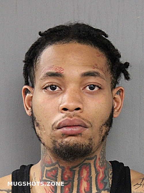 CHRISTOPHER ADRIENNE PYRCE -TRAVIS 03/27/2025 - Chicago Mugshots Zone