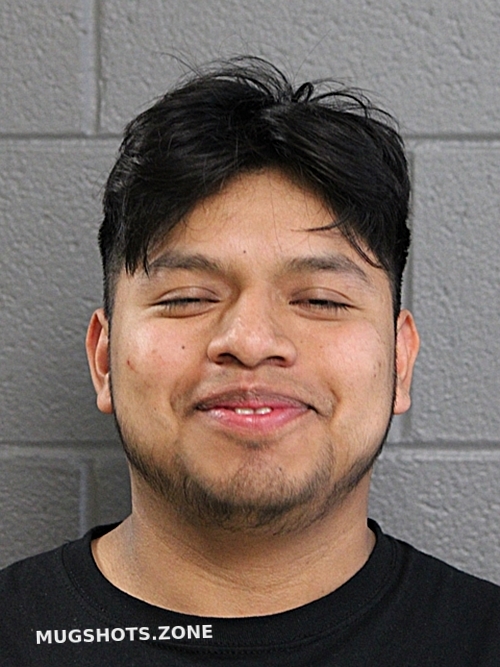 BRYAN ALEXANDER SOLIS 03/28/2025 - Chicago Mugshots Zone