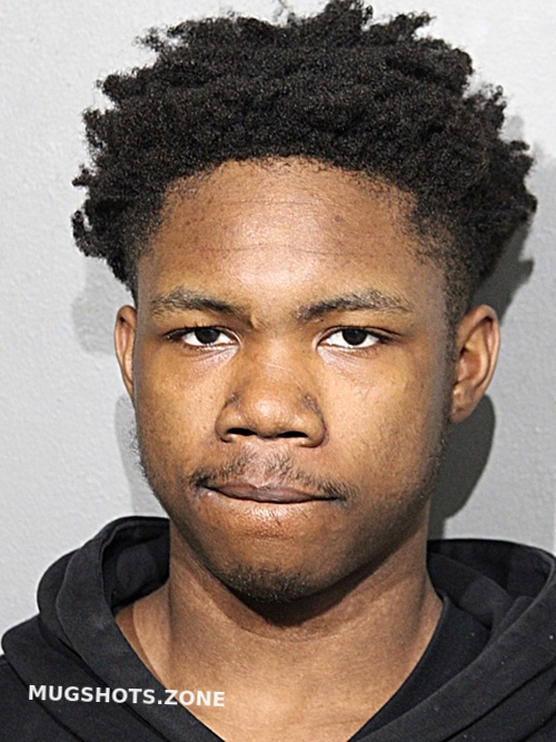 EVAN C JACKSON 03/28/2025 - Chicago Mugshots Zone