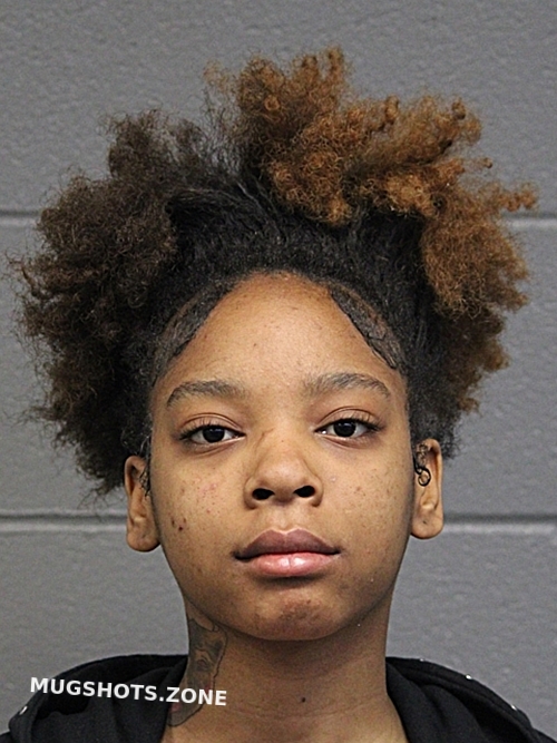 DESTINY PIERCE 03/28/2025 - Chicago Mugshots Zone
