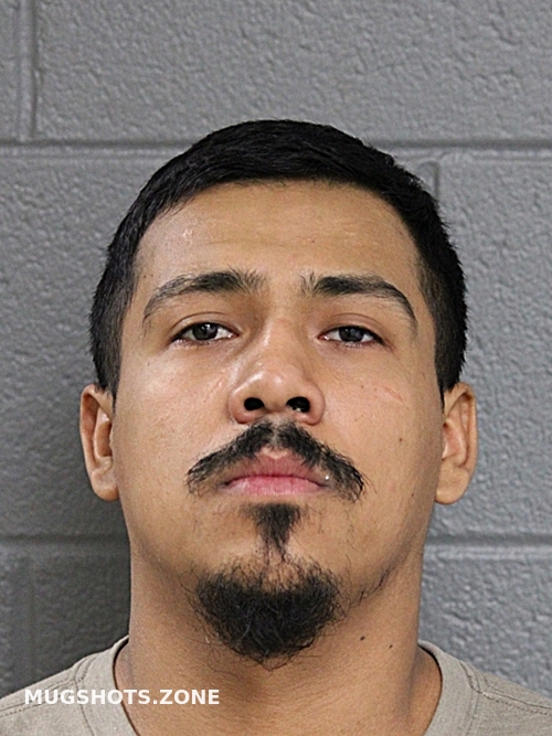 CESAR PEREZ-ROMAN 03/29/2025 - Chicago Mugshots Zone