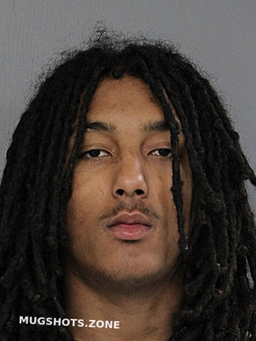 TYJUAN L WILLIAMS 03/29/2025 - Chicago Mugshots Zone