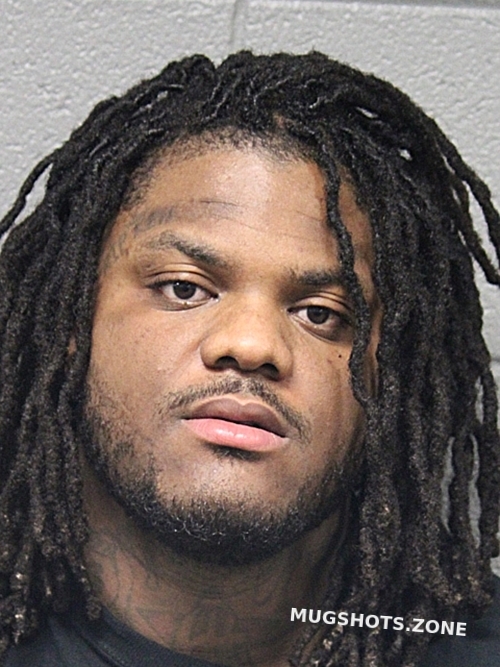 DAVID P DAVIS 03/29/2025 - Chicago Mugshots Zone